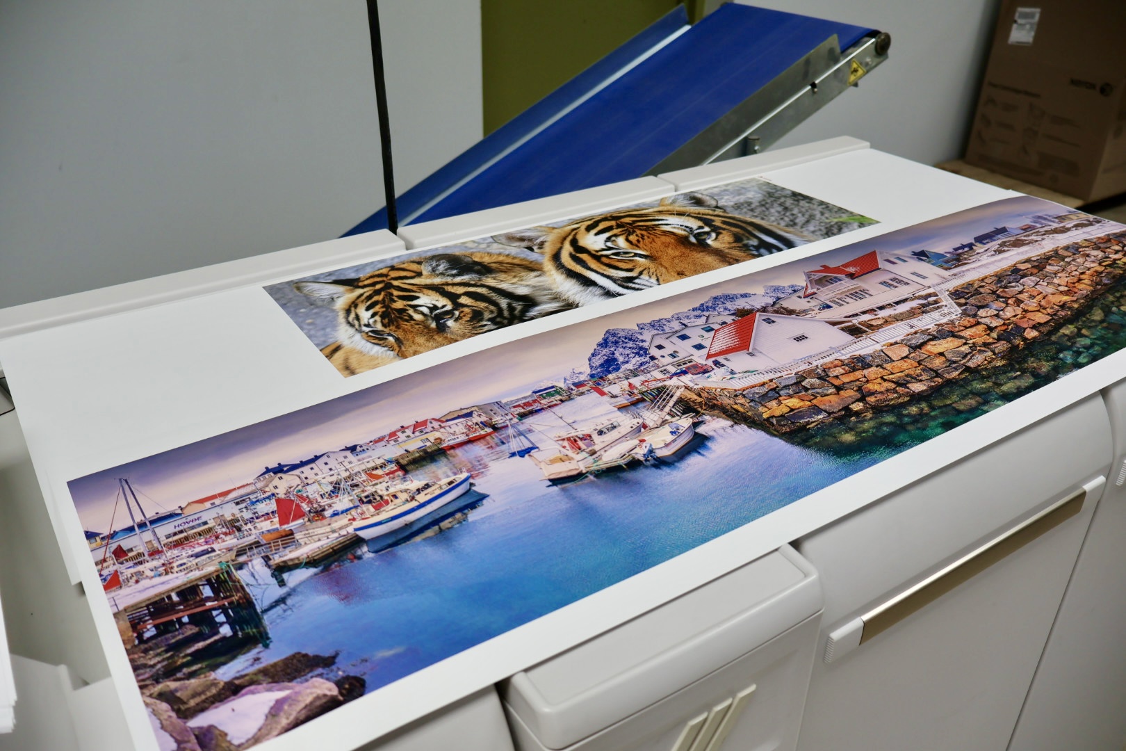 Digital Printing | Commercial Printing Services | Solo Printing